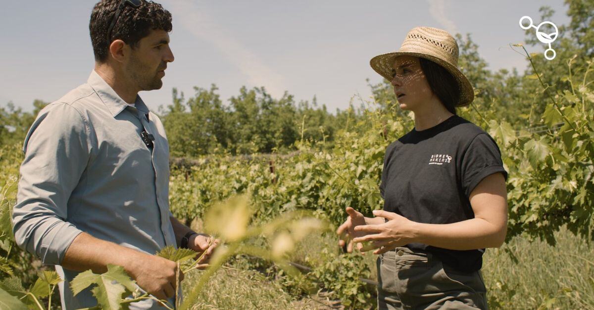 Informed Agricultural Decisions: Impact of Biostimulants on Tree Crops